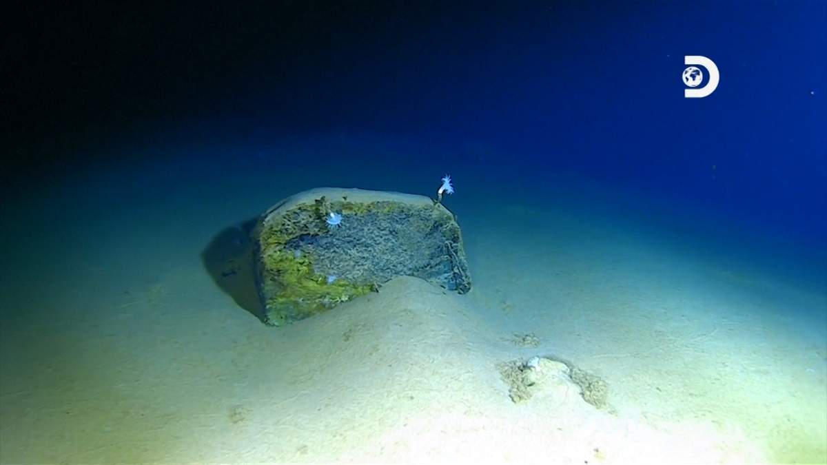 Man descends to deepest-ever ocean depths — and finds trash - National | Globalnews.ca