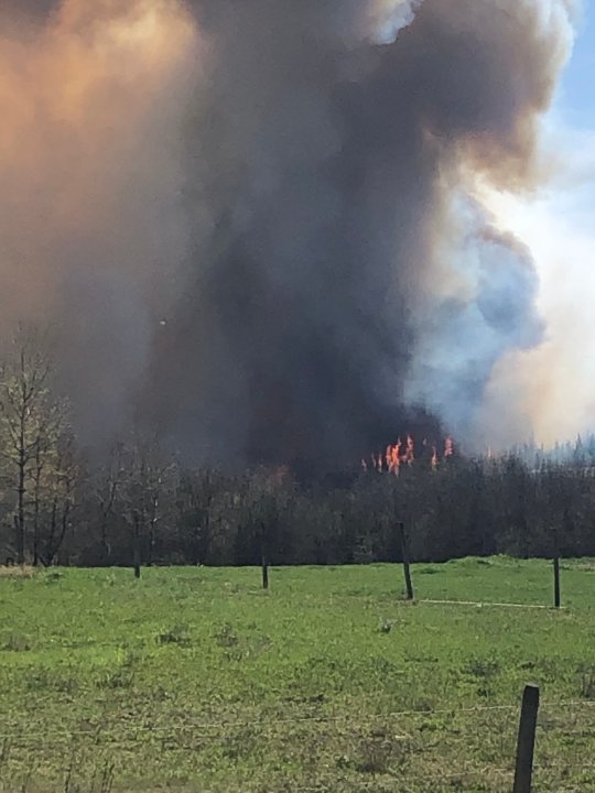 Wildfire burning near Fraser Lake, B.C. swells to 236 hectares ...