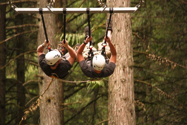 SkyTrek Adventure Park Revelstoke | News, Videos & Articles