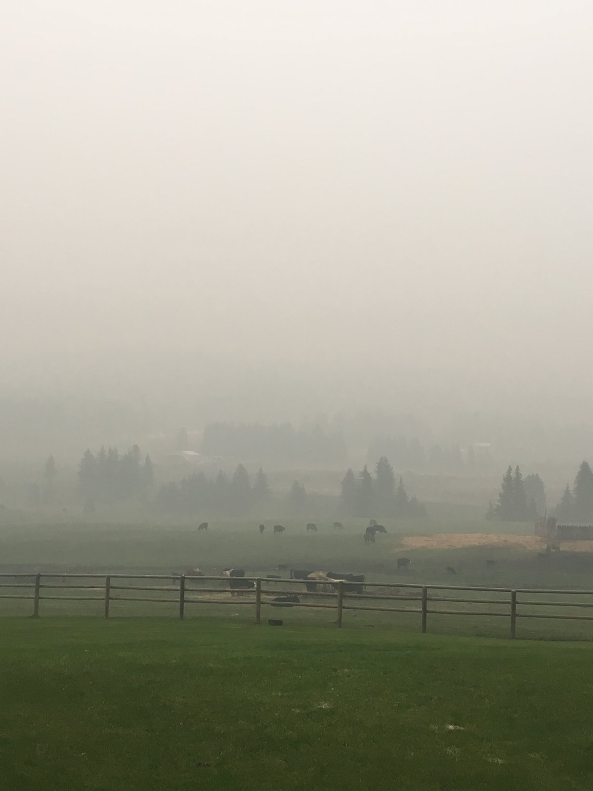 IN PICTURES: Smoke smothers Calgary, air quality jumps off the charts ...