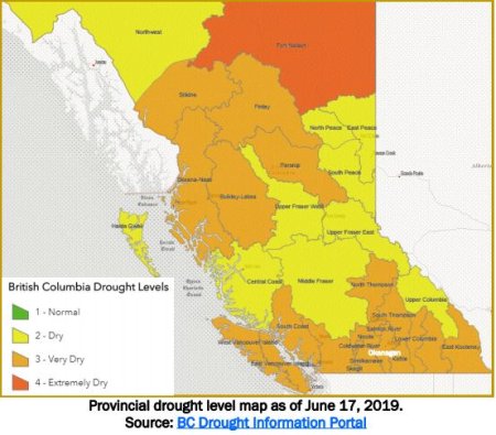 Okanagan elevated to Level 3 drought rating, water conservation urged ...
