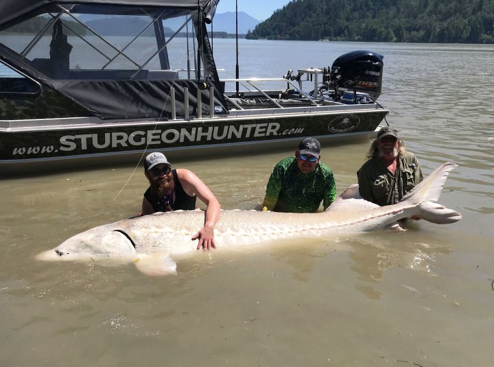 ‘The ride of a lifetime’: Calgary fishermen catch massive 11-foot ...