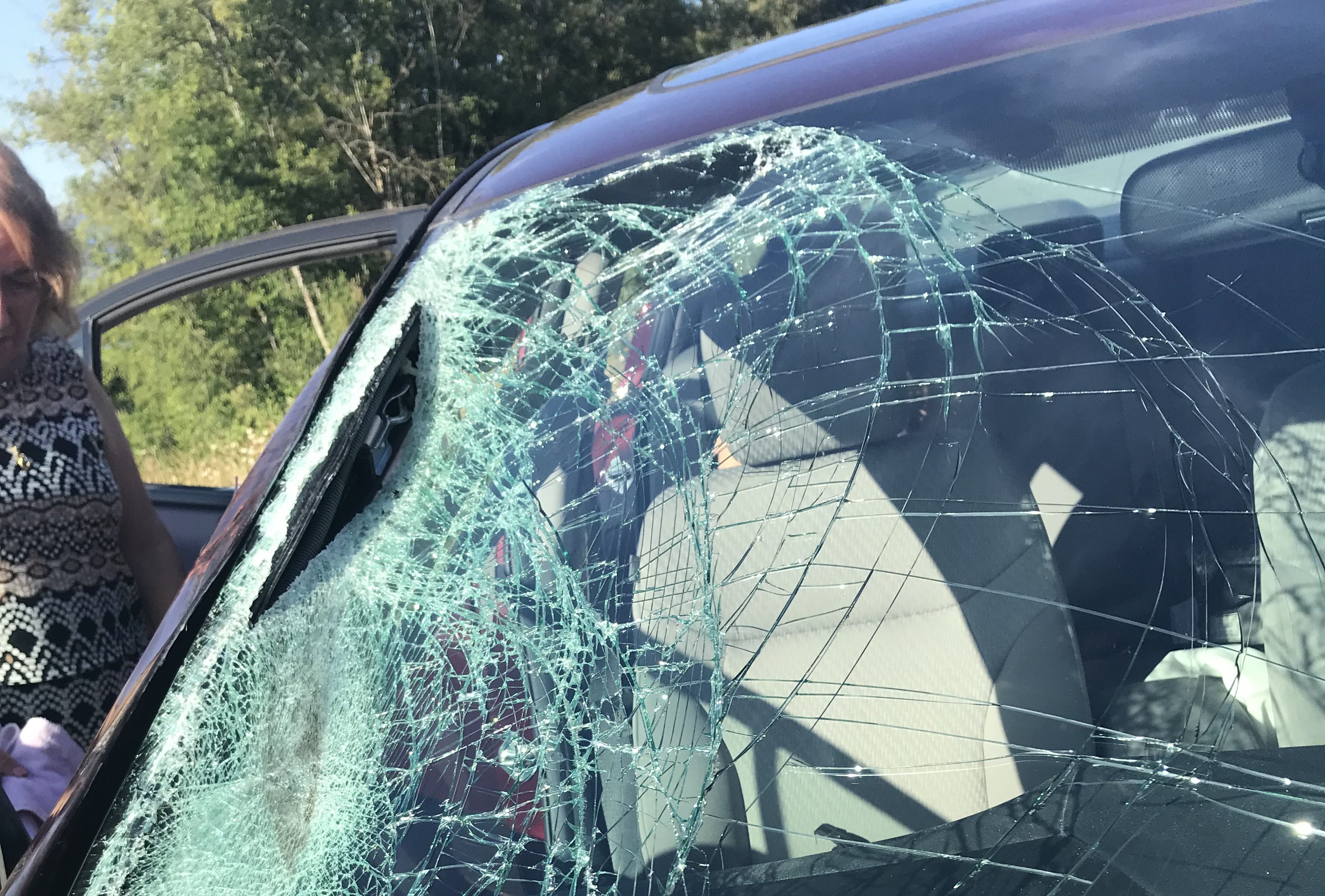 ‘It sounded like an explosion’: Langley family’s vehicle hit by flying ...
