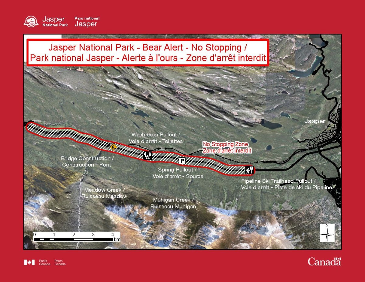 No-stopping zone in place on highway west of Jasper to allow bears to ...