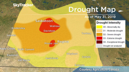 Over 200mm rain needed to ease drought conditions in southern Sask ...