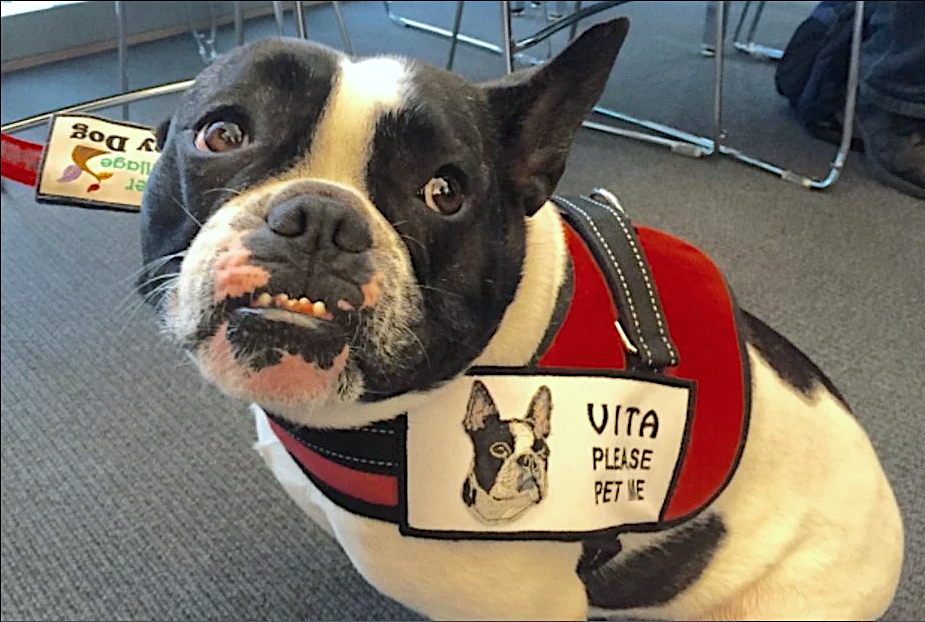 ‘A devastating loss’: Thieves allegedly rip off $25K worth of therapy ...