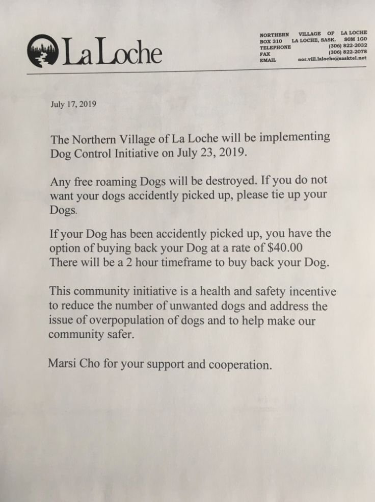 Village in Saskatchewan cancels dog cull after social media backlash ...