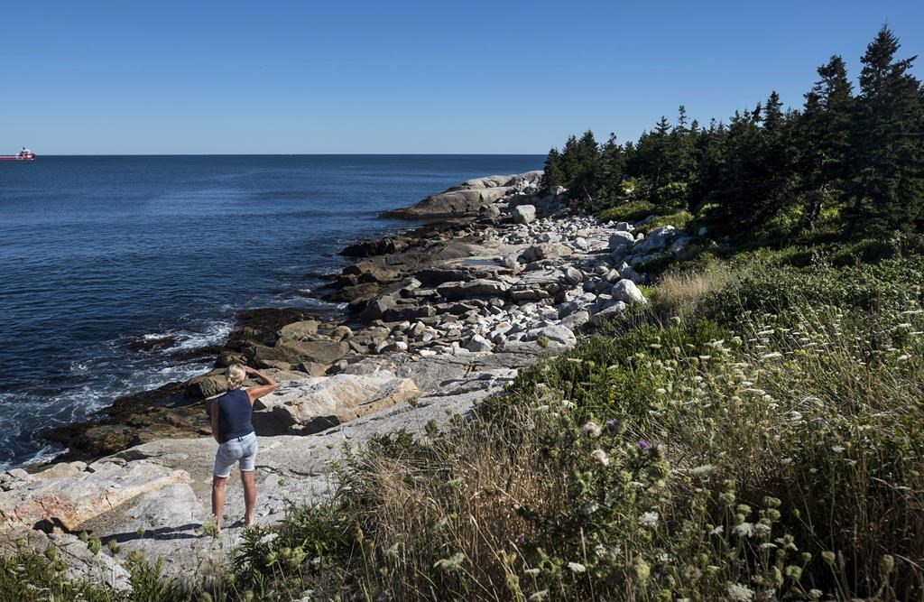 Canada faces 6 key climate change risks. Here’s what experts say could ...