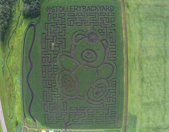 2019 Edmonton Corn Maze dedicated to Stollery Children’s Hospital ...