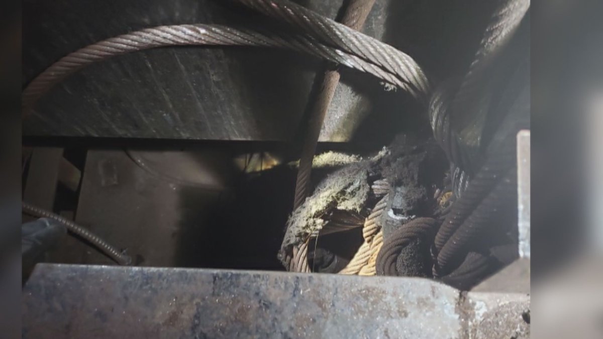 After rescue, Calgary Tower restaurant employee says it’s not the first ...