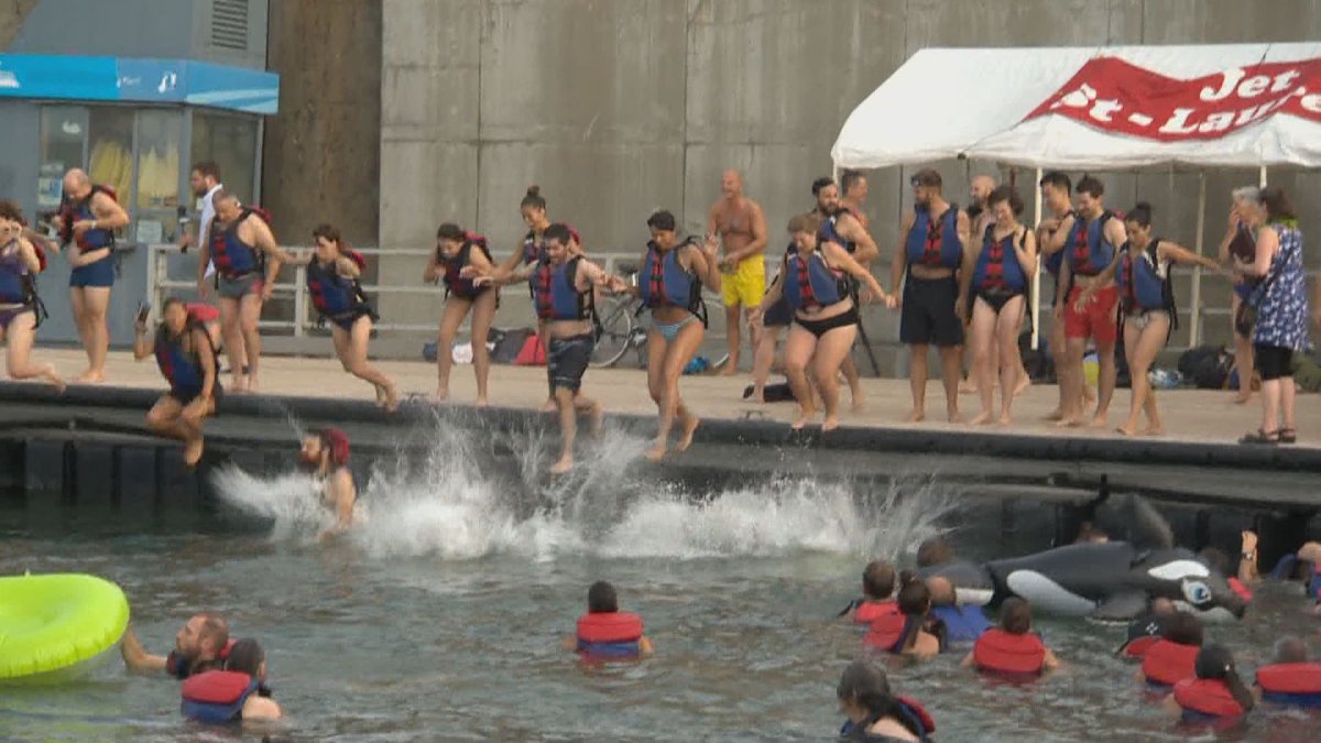 Morning dip in the Saint Lawrence River: Montrealers take part in the ...