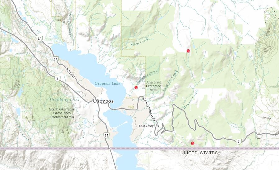 Spot fires caused by lightning in South Okanagan | Globalnews.ca