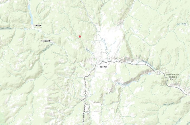 New spot fire ignites near Princeton, B.C. - Okanagan | Globalnews.ca
