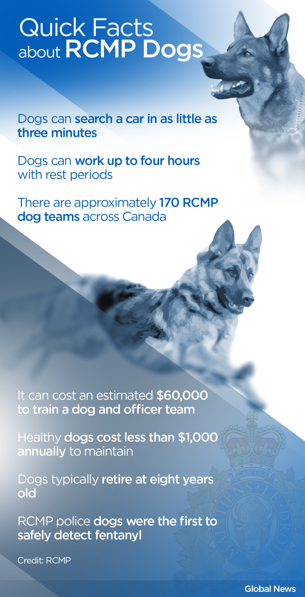 How police dogs help manhunts in places like northern Manitoba ...