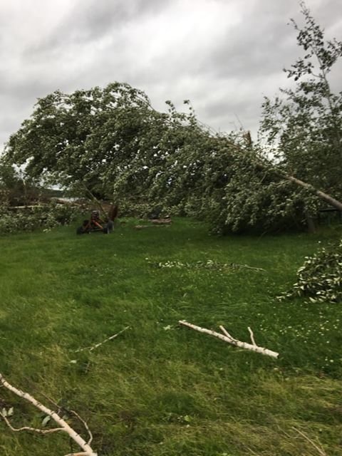Environment Canada confirms tornado touched down in central Alberta on ...