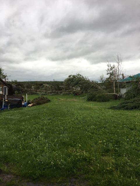 Environment Canada confirms tornado touched down in central Alberta on ...