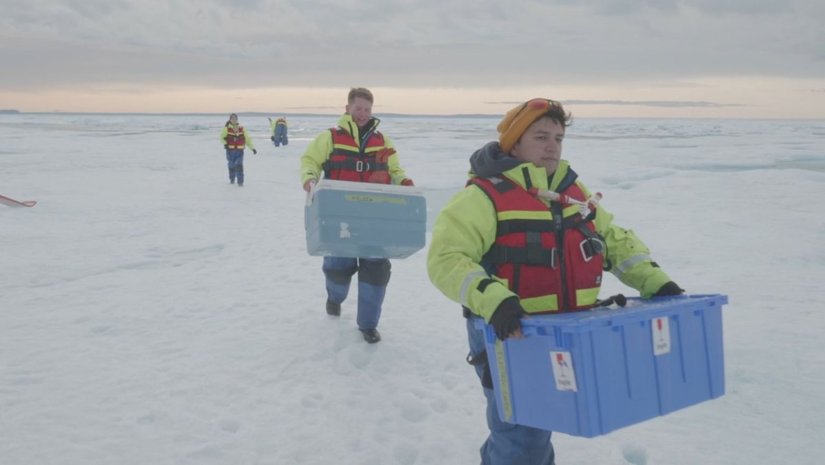Ice in Canadian arctic contaminated with microplastics, scientists find ...