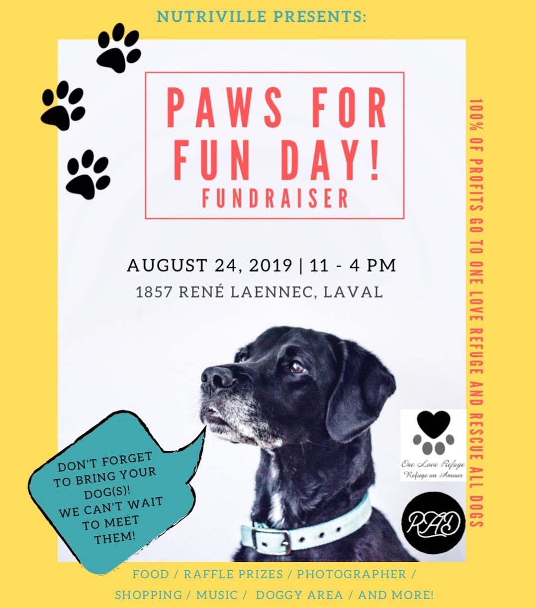 PAWS FOR FUN DAY! FUNDRAISER - GlobalNews Events