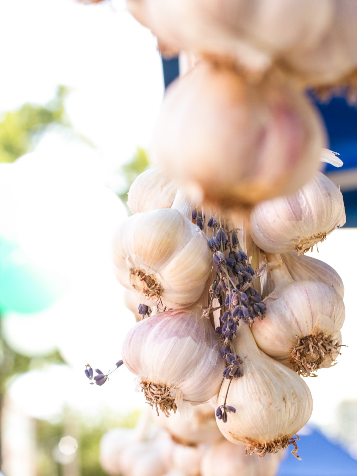 Ste-Anne-de-Bellevue woman gets $300 worth of garlic stolen from her ...
