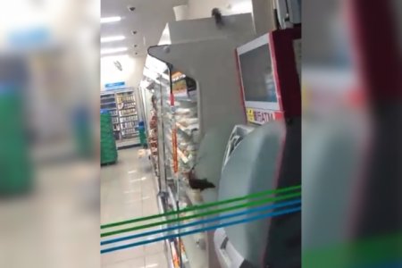 Rats! Video shows Tokyo convenience store overrun by rodents - National ...