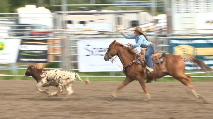 Alberta cowgirls welcome new pro rodeo event | Globalnews.ca