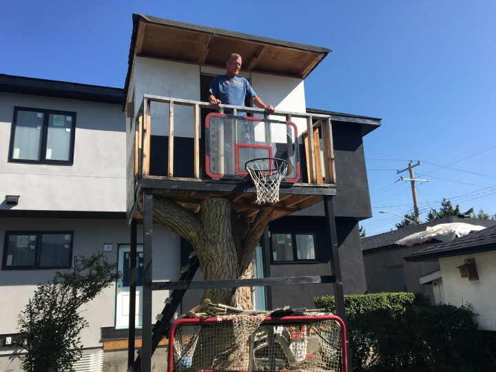 Treehouse trouble leads to backyard battle in Calgary - Calgary ...