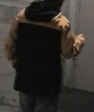 White Rock RCMP seek info on assault that may be linked to Surrey ...