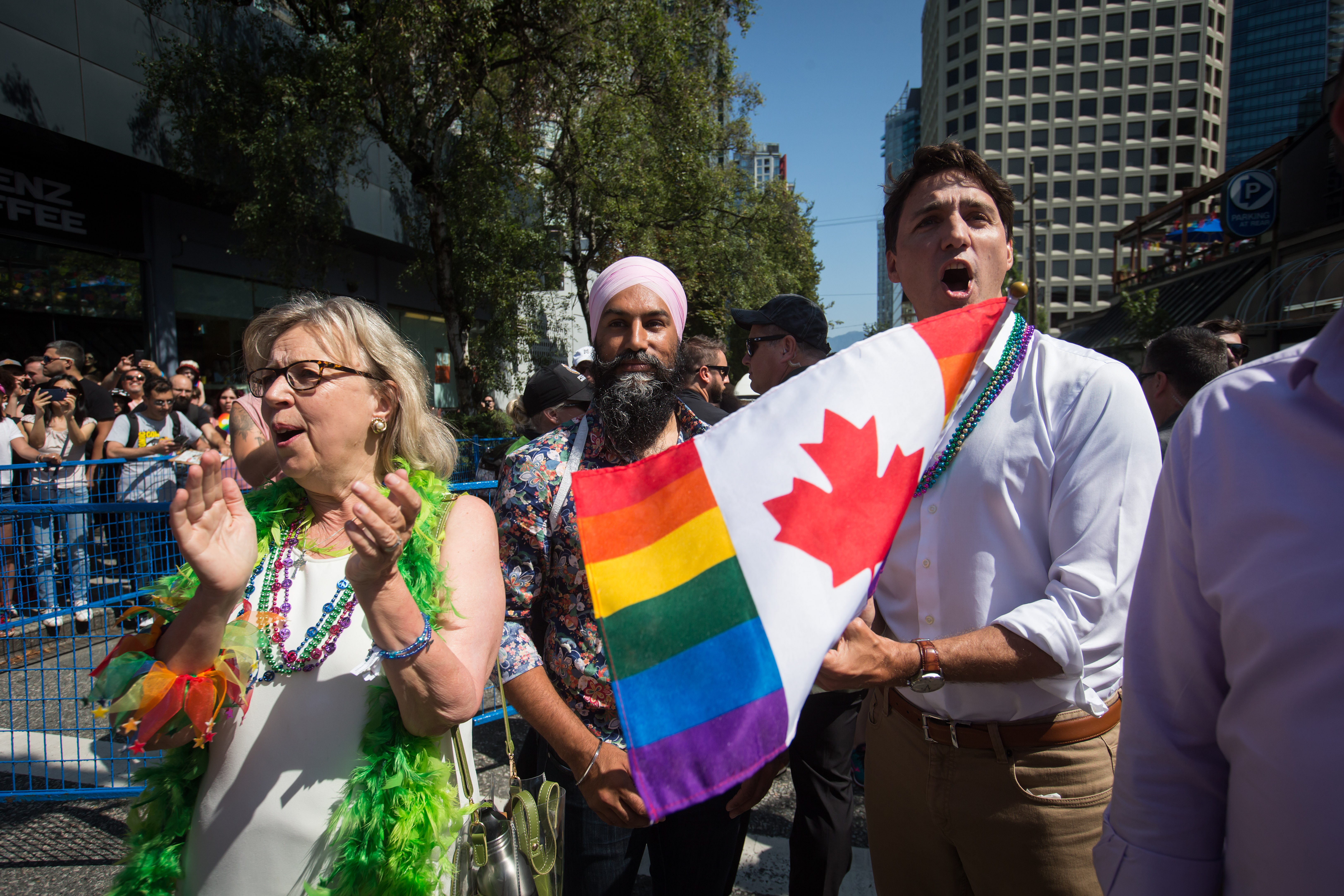 NDP, Greens pledge to improve access to health care and surgeries for ...