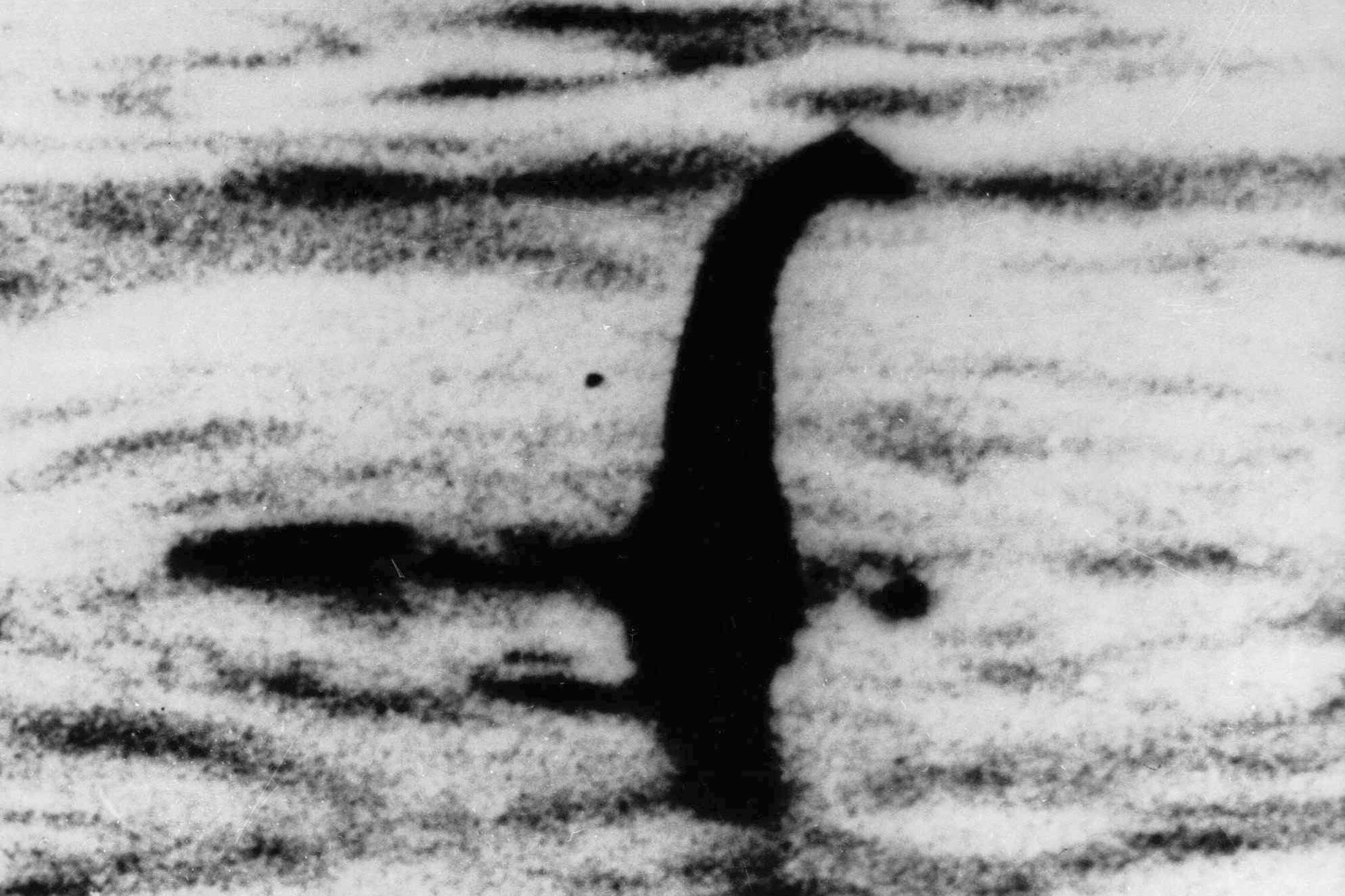 Scientist says Loch Ness monster may be giant eel after water DNA test ...