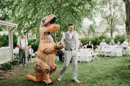 ‘Wear anything’: Bridesmaid dons T. Rex costume for sister’s wedding ...