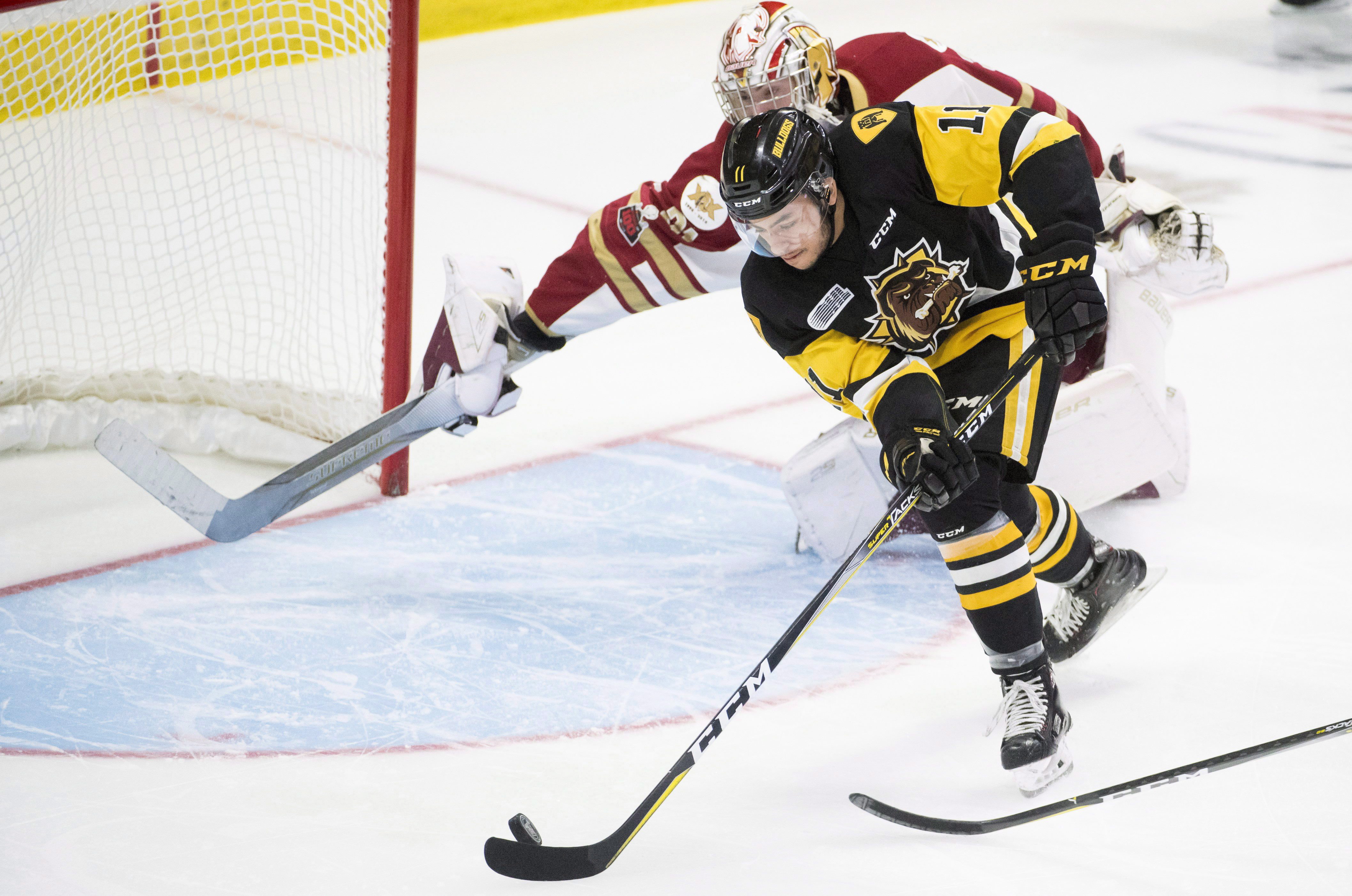 Hamilton’s Isaac Nurse named Bulldogs team captain - Hamilton ...