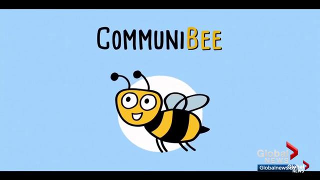 Edmonton community league helps create Communibee app - Edmonton | Globalnews.ca