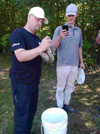 Small ball python discovered on Peterborough golf course - Peterborough ...