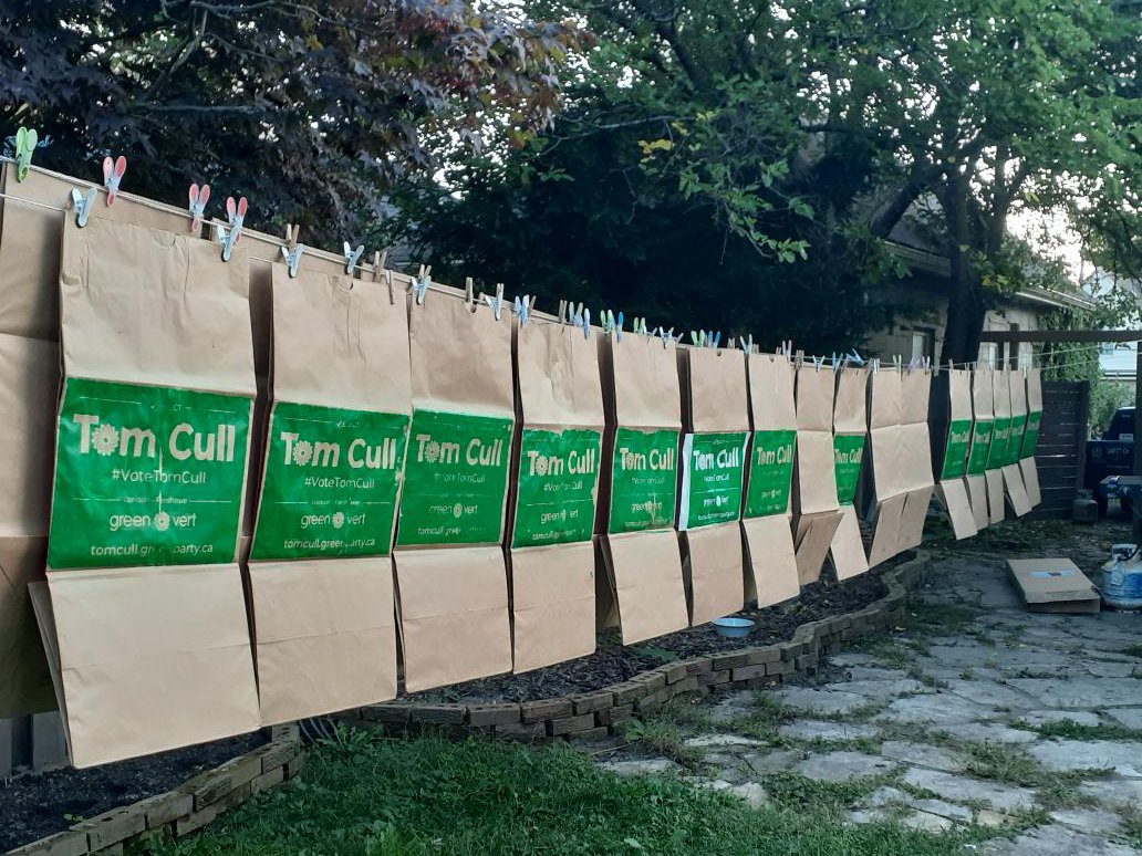 Green party candidate in London, Ont., creates eco-friendly campaign ...
