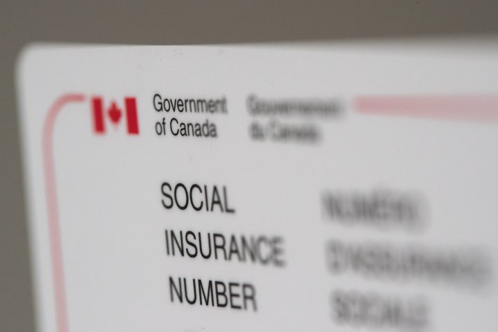 In wake of data breaches, hunt for SIN alternatives intensifies ...