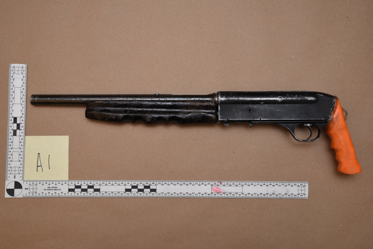 ‘He had a gun’: Witness ID’s accused in shooting where woman lost ...