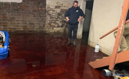 Family’s basement fills with blood after meat locker next door leaks ...