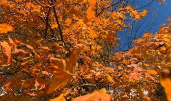 Brandon, MB Weather | Forecast Conditions - Weather Predictions & Radar