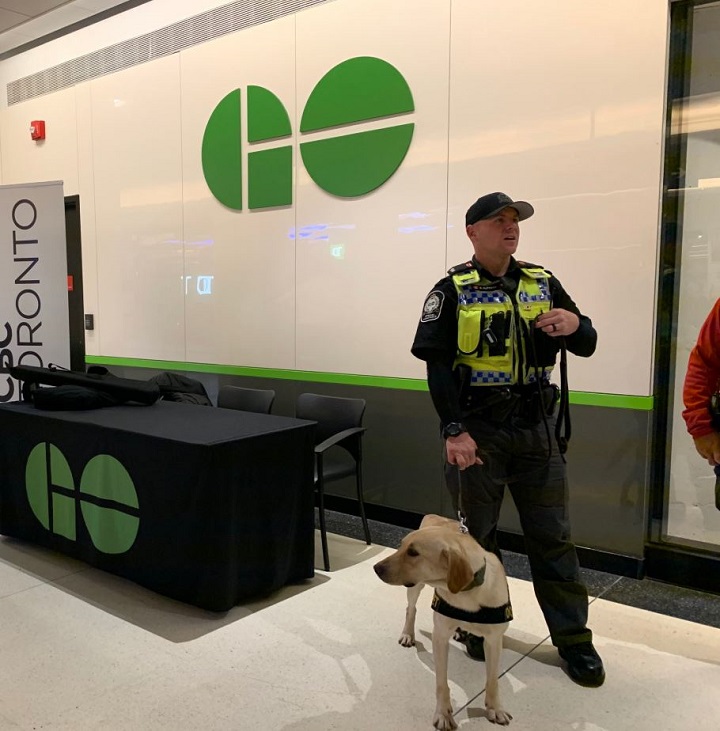 Dash on Duty: GO Transit canine unit begins patrolling Toronto’s Union ...