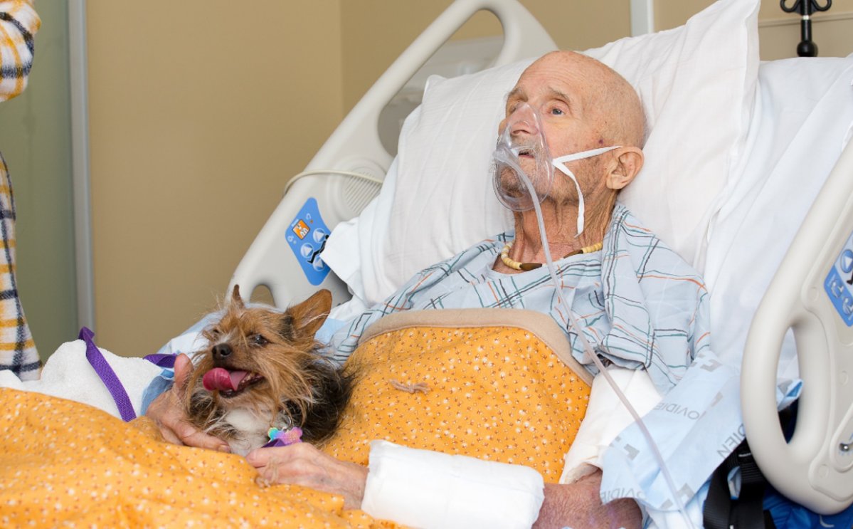 Veteran admitted to hospice gets touching final visit from beloved dog ...