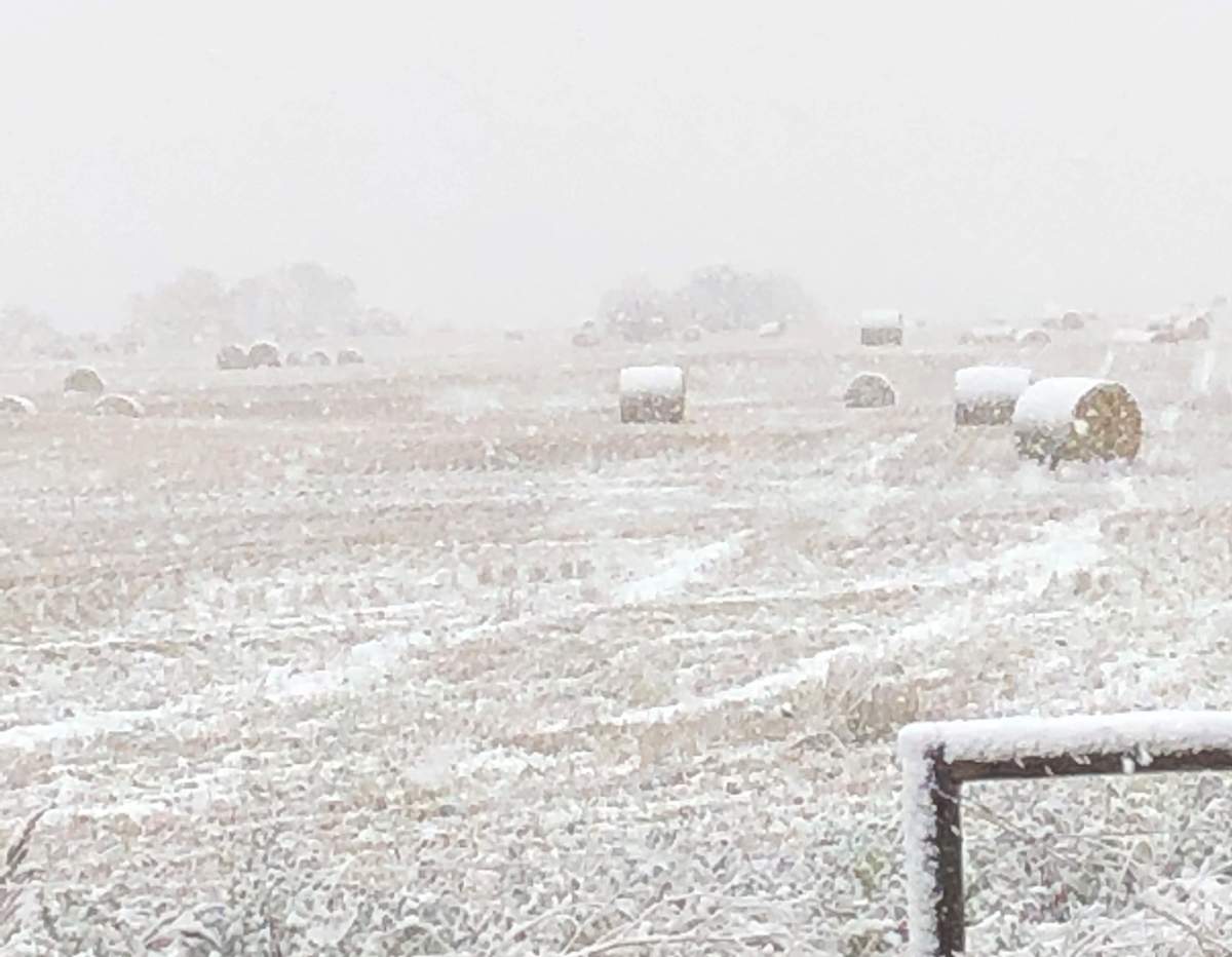 Mike’s Monday Outlook: Here comes the snow, Manitoba - Winnipeg ...