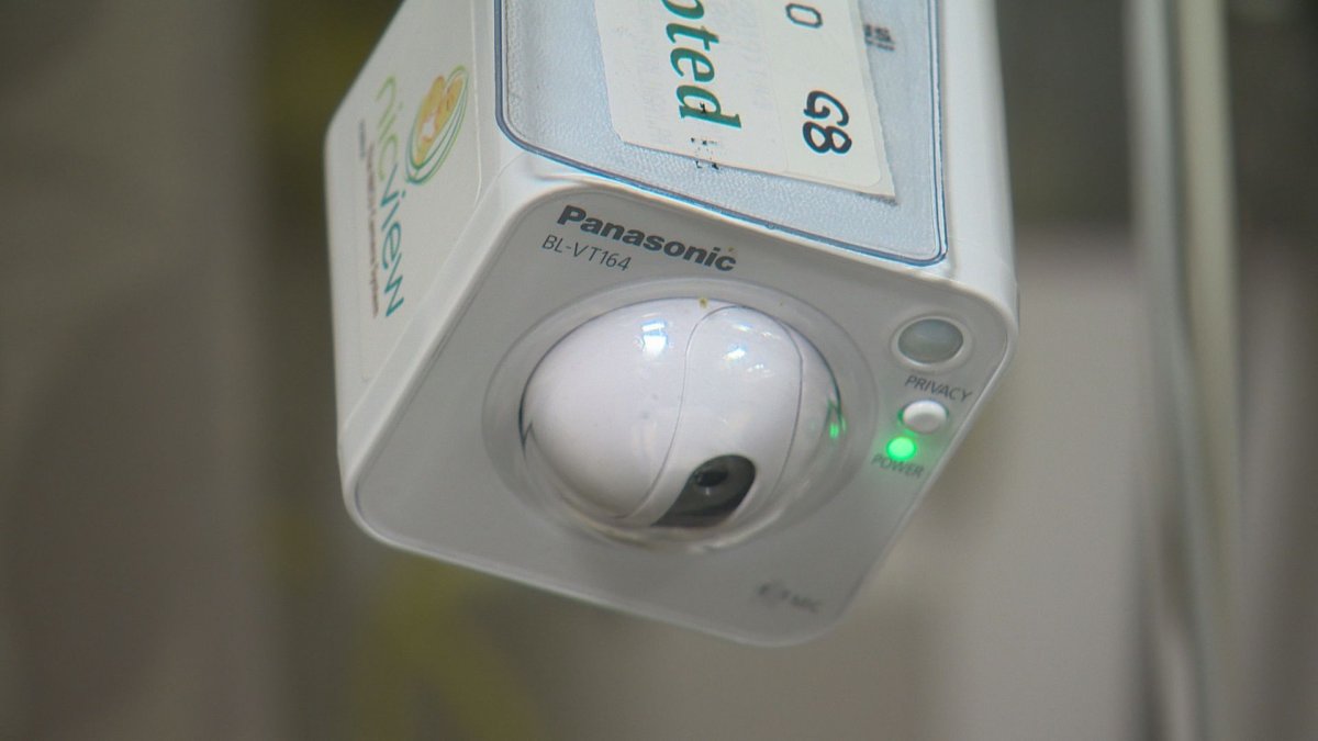 Stollery adds 24/7 web cameras to connect parents to babies in NICU ...