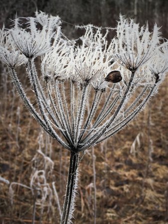 Mother Nature’s artwork on full display in Prince George - BC ...