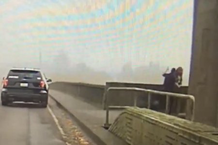 Police officer saves woman from falling off bridge into ‘chilly’ water ...