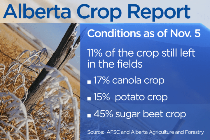 ‘Harvest from hell’: Alberta farmers demanding action from government ...