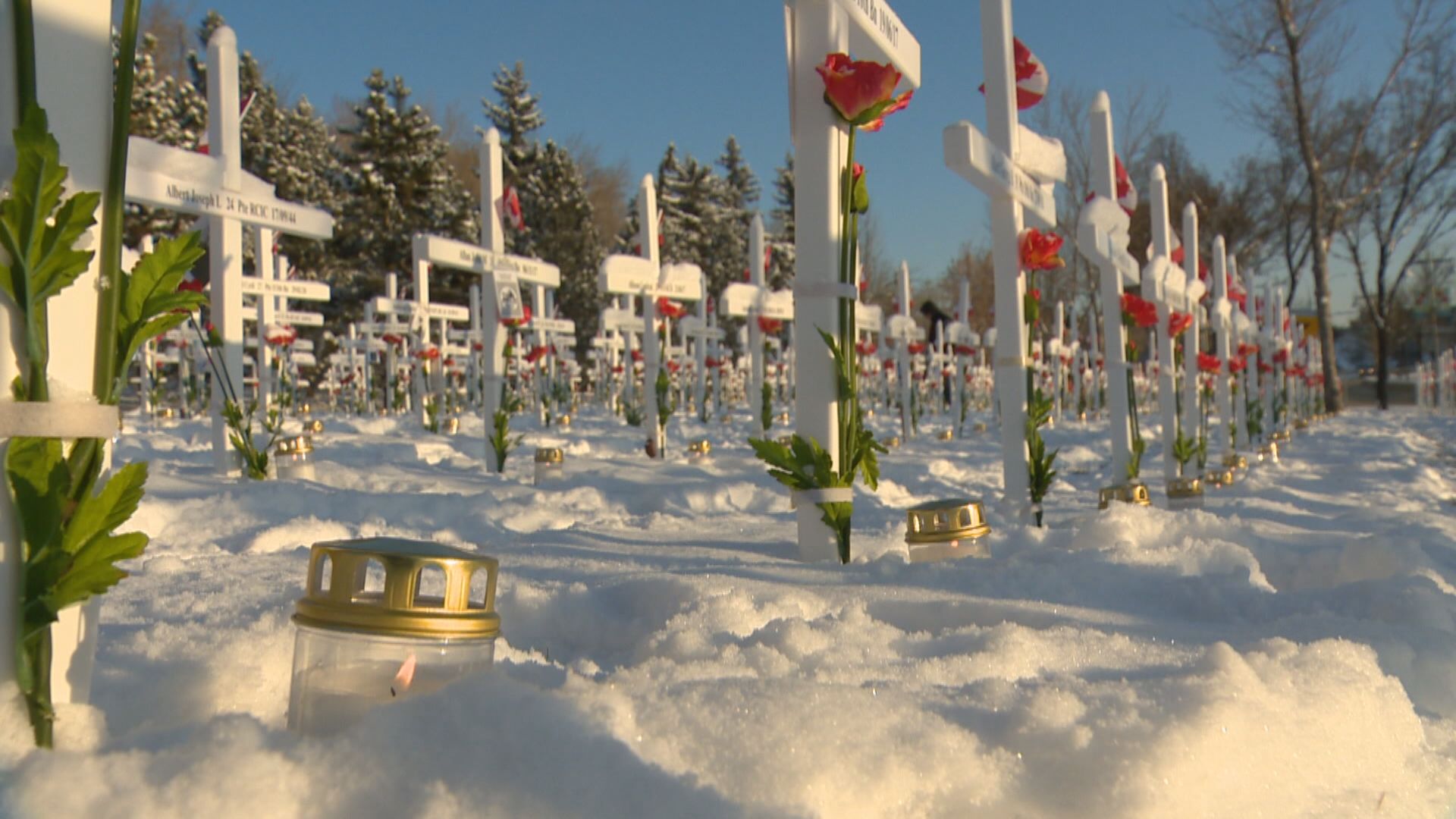 Calgary Remembers: Remembrance Day ceremony at the Field of Crosses ...