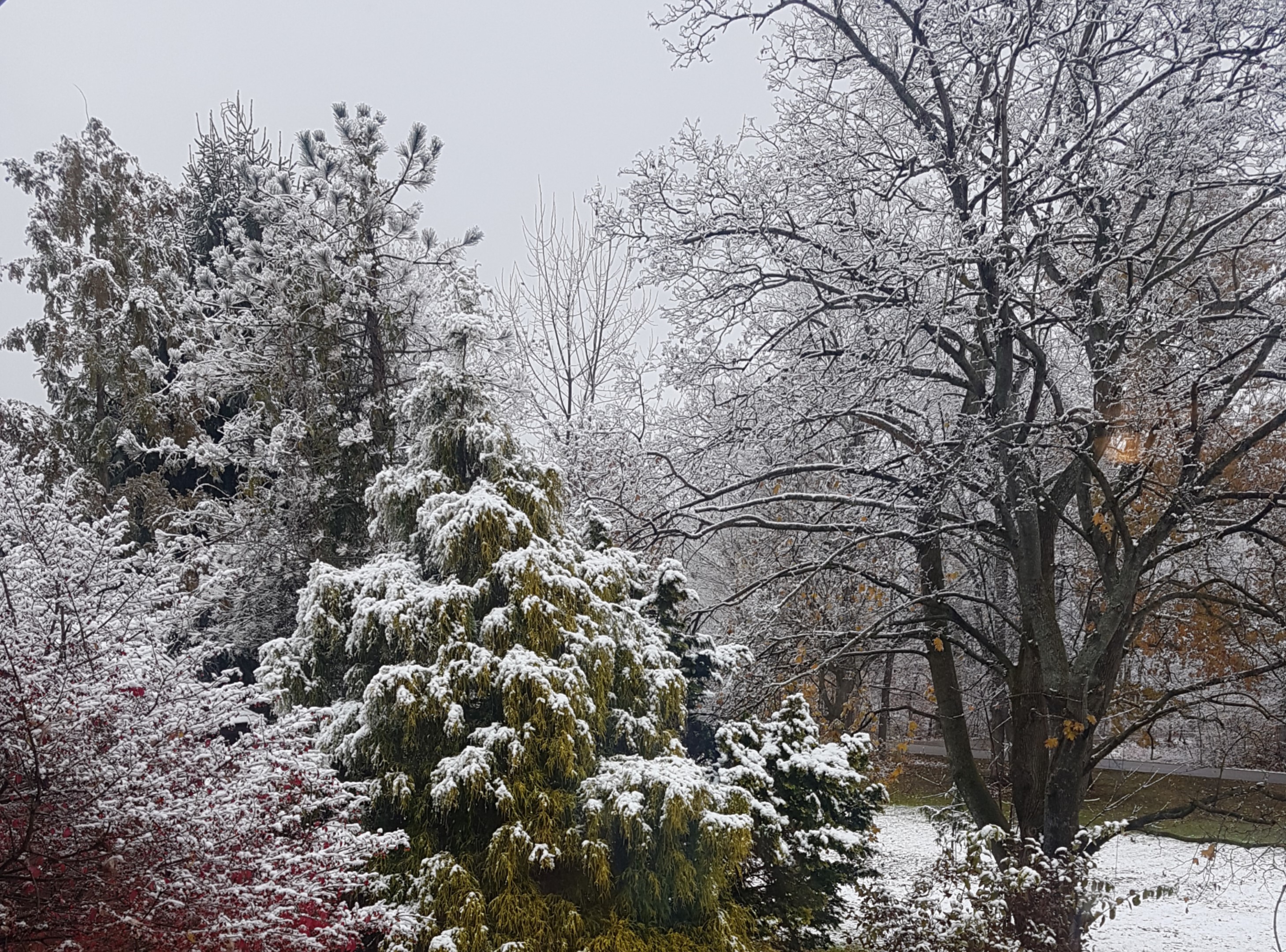 Blast of winter may bring 30 cm of snow to Hamilton area: Environment ...