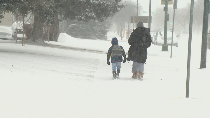 Lethbridge region grinds to a halt during another major snowfall ...