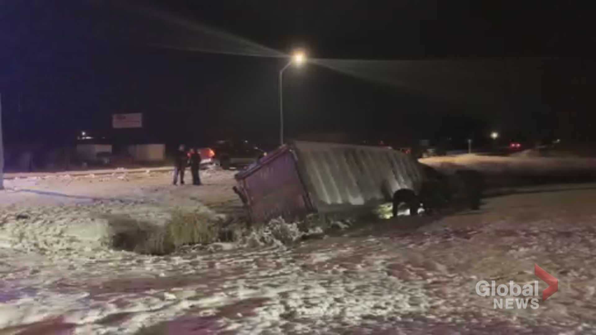 Cows killed following two-vehicle collision just west of Peterborough ...