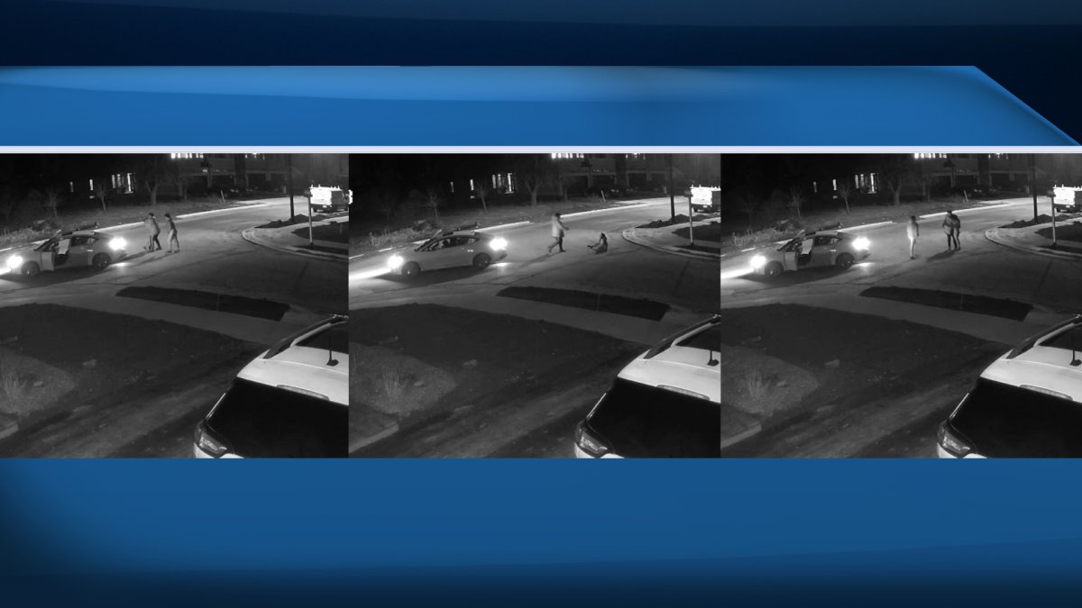 Hamilton police investigating ‘suspicious incident’ involving female ...